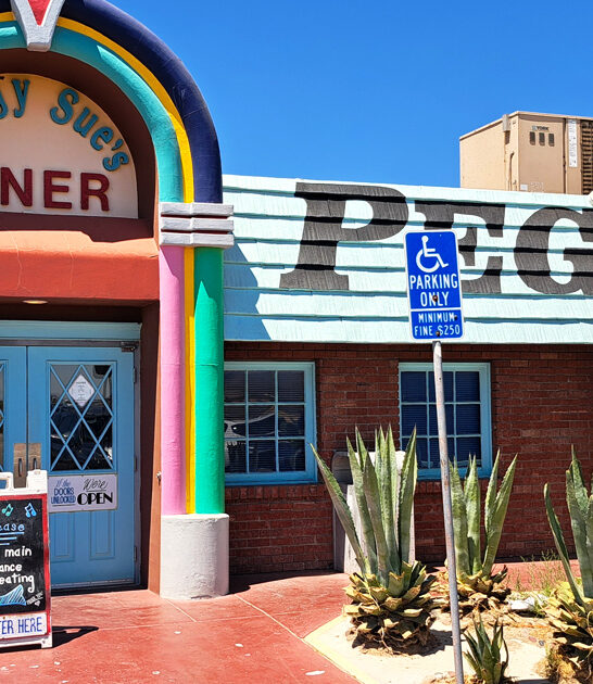 diner classic california sandwich ftr