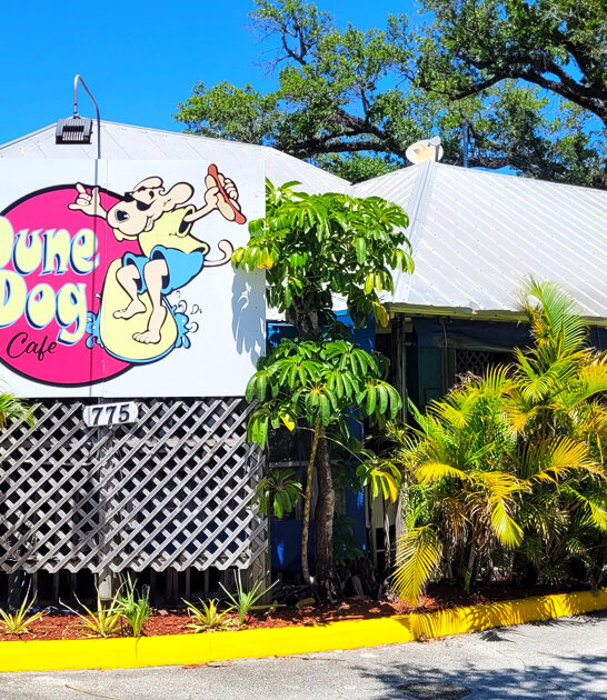 diner florida delicious fish ftr