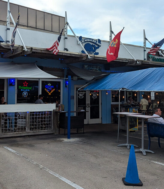 dolphin sandwich florida shack ftr