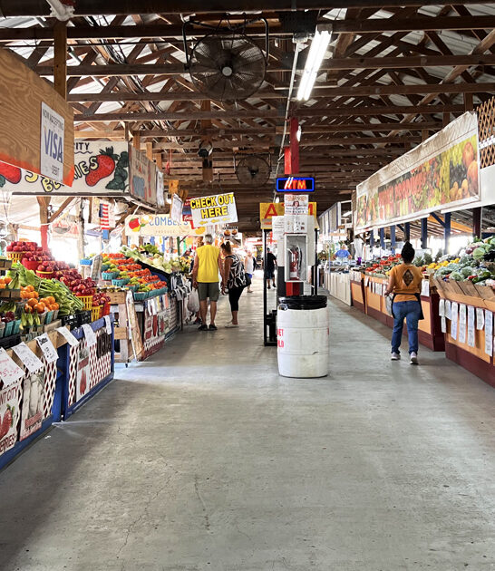 dreamy bargain market florida ftr