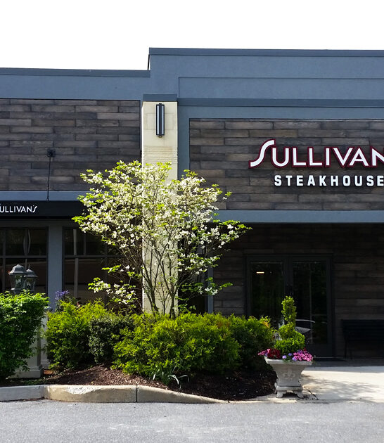 dreamy delaware wellington bites ftr