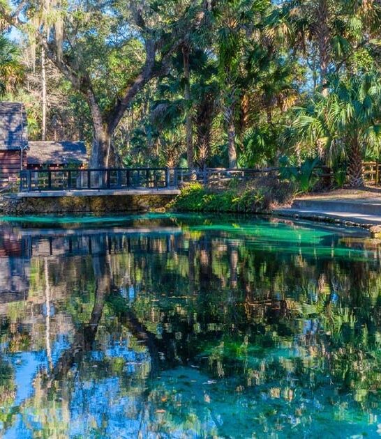 dreamy natural spring florida ftr