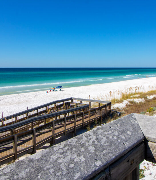 dreamy parks florida weekend ftr