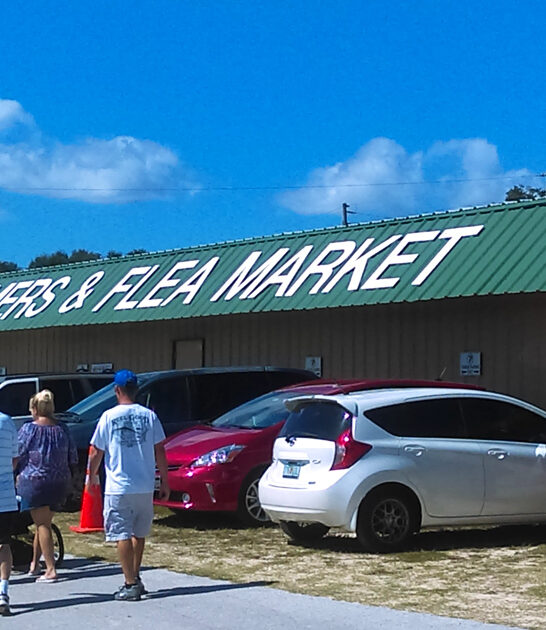 drive florida bargains gigantic ftr