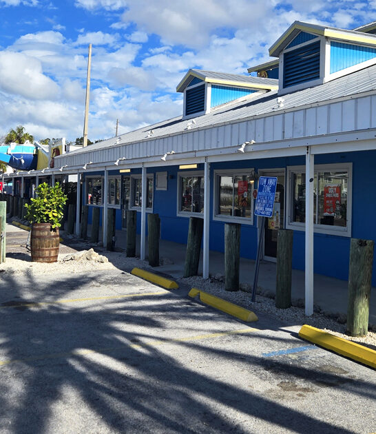 drive florida mom pop ftr