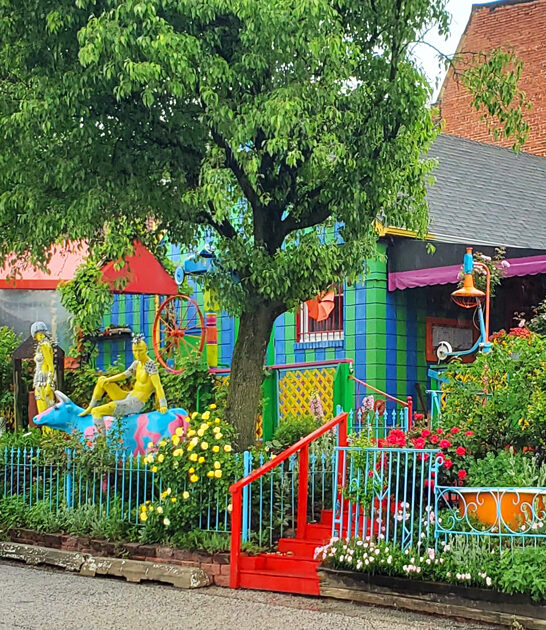 drive maryland comfort kitschy ftr