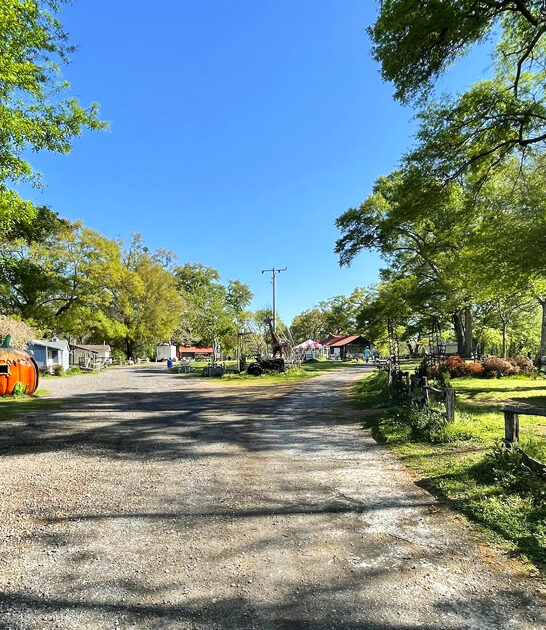 drive stunning georgia farm ftr