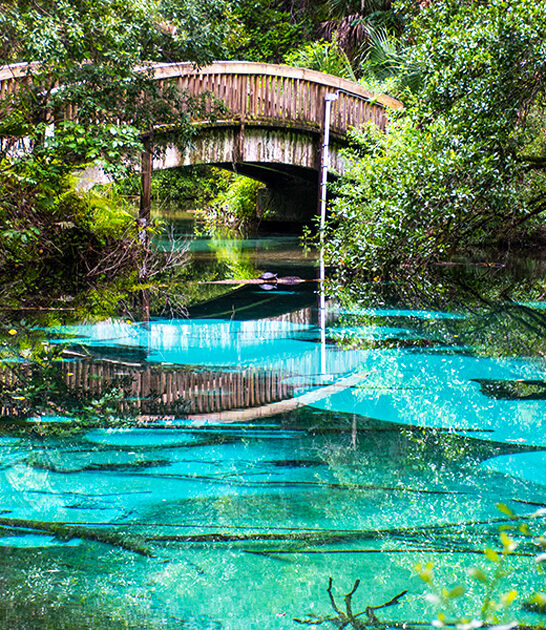 enchanting natural spring florida ftr