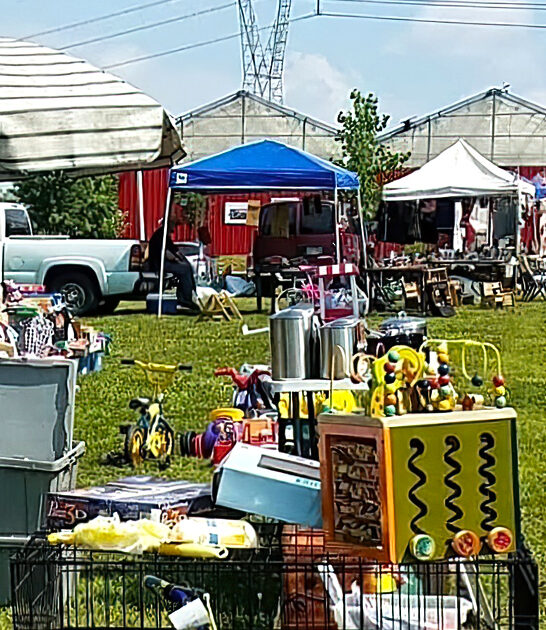 endless bargain hunt ohio ftr