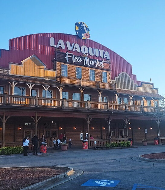 endless shopping deals georgia ftr