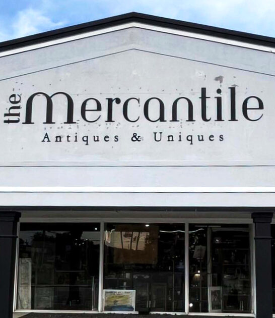 enormous antique florida store ftr