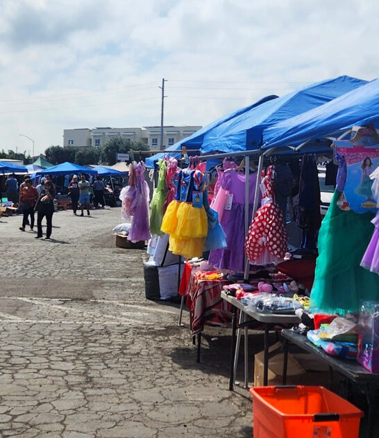 enormous bargain market california ftr