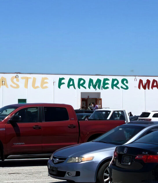 enormous farmers market delaware ftr
