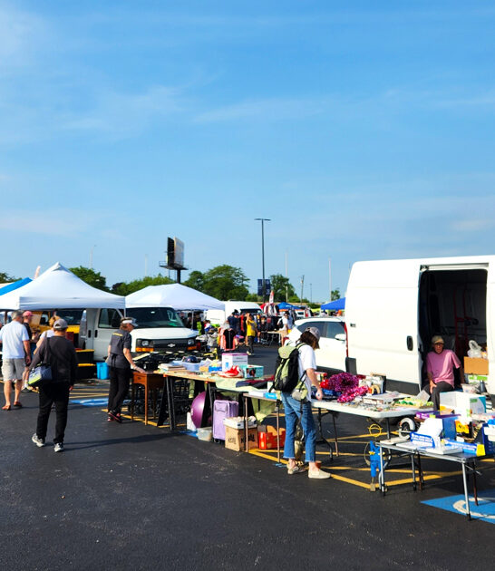 enormous flea illinois incredible ftr