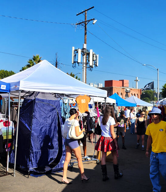 enormous flea market california ftr