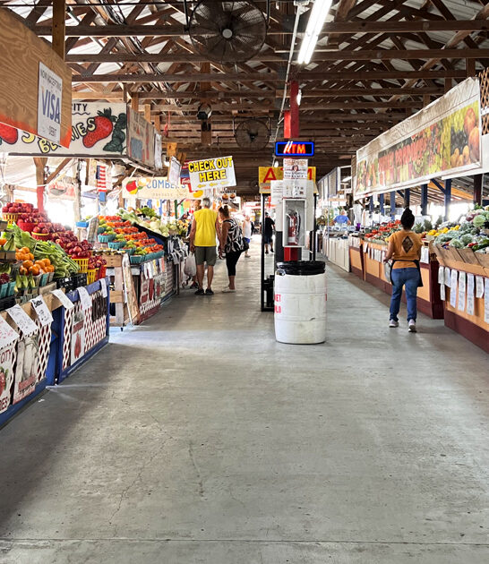 enormous flea markets florida ftr