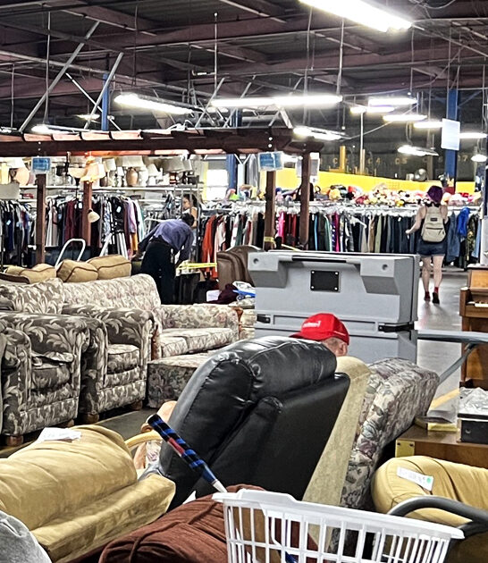 enormous thrift california gold ftr