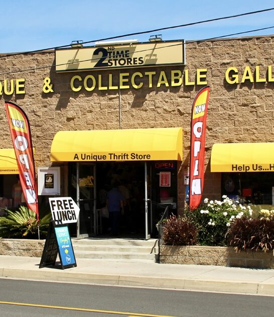 enormous thrift place california ftr