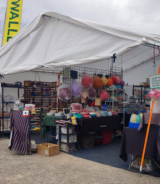 expect awesome bargains arizona ftr