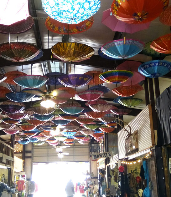 famous bargain market texas ftr