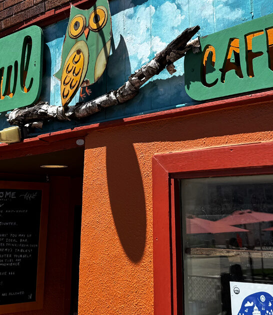 famous fries cafe wisconsin ftr