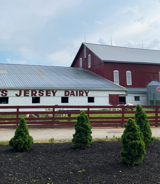 farm ice cream ohio ftr