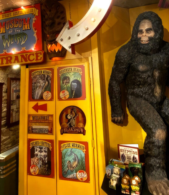 fascinating macabre museum texas ftr