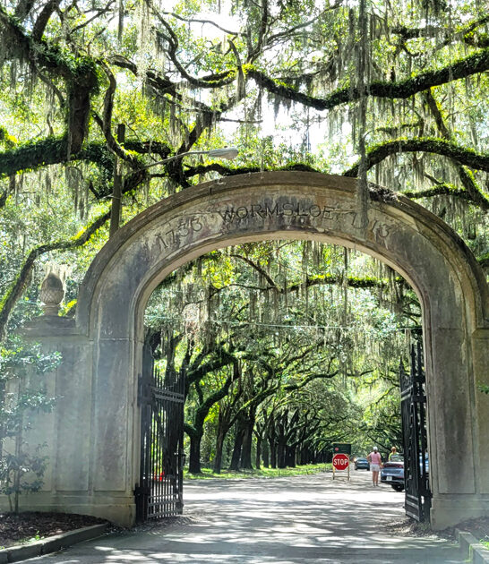 fascinating southern plantations georgia ftr