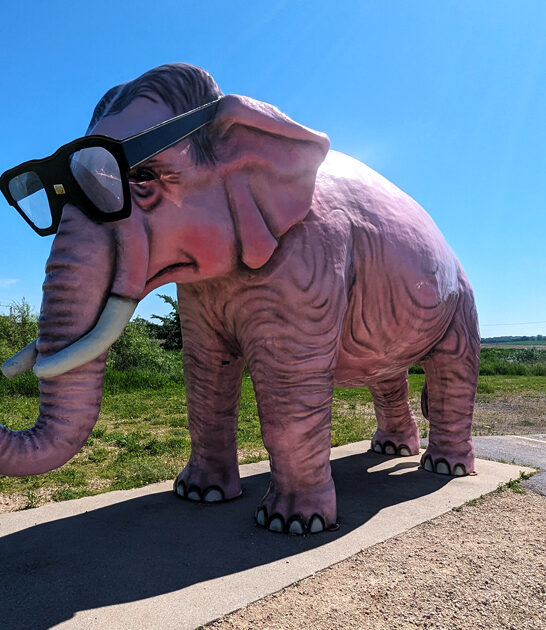 fascinatingly weird attraction wisconsin ftr