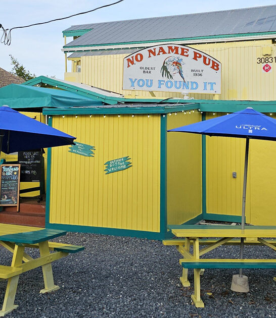 fish chips delicious florida ftr