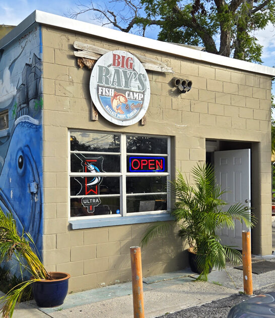 fish chips florida favorite ftr