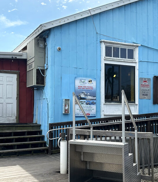 fish chips tasty florida ftr