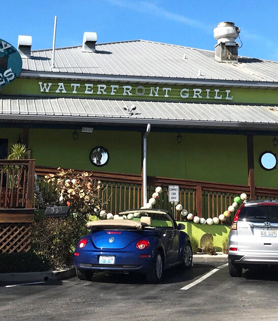 fish restaurant chips florida ftr