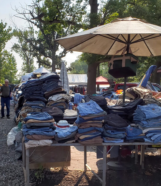 flea good market michigan ftr