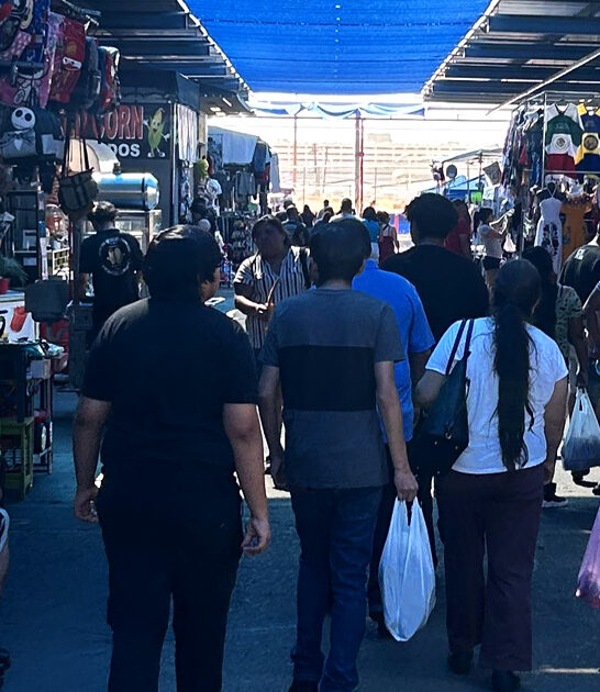 flea market arizona awesome ftr