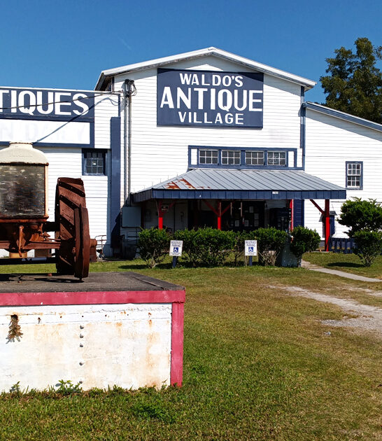 flea market florida friendly ftr