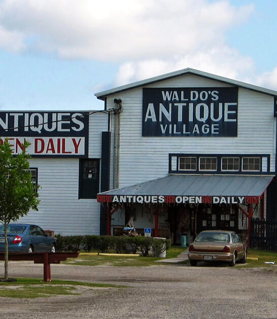 flea market florida way ftr