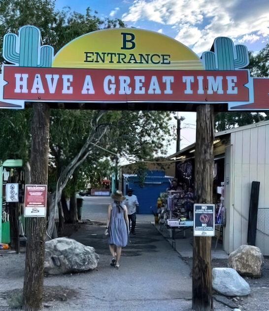 flea market gigantic arizona ftr