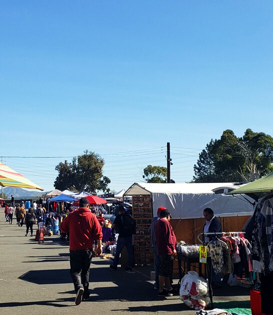 flea market massive california ftr