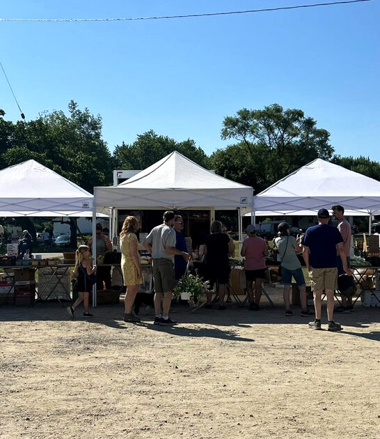 flea market michigan experience ftr