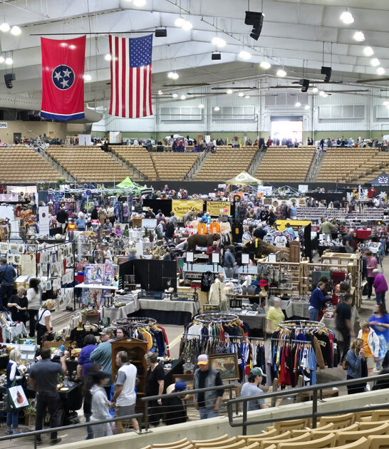 flea market tennessee best ftr
