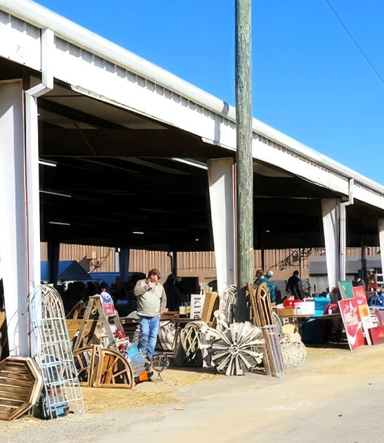 flea market tennessee great ftr
