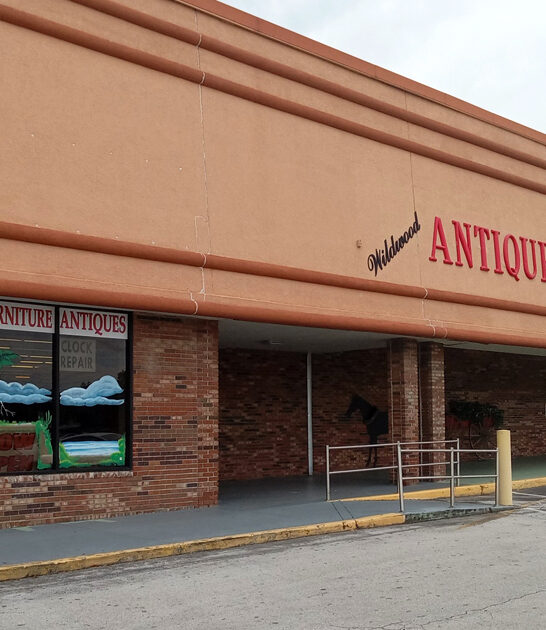 florida antique store big ftr