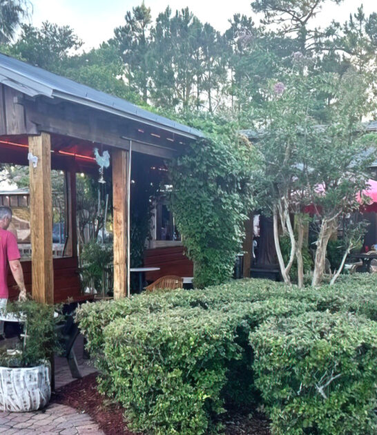 florida best panne chicken ftr