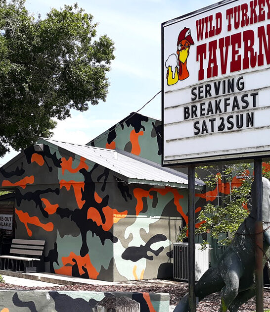 florida best tacos tavern ftr