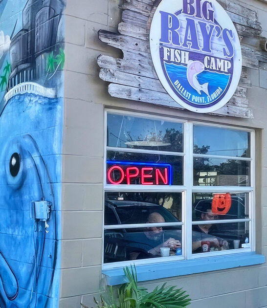 florida conch fritter paradise ftr