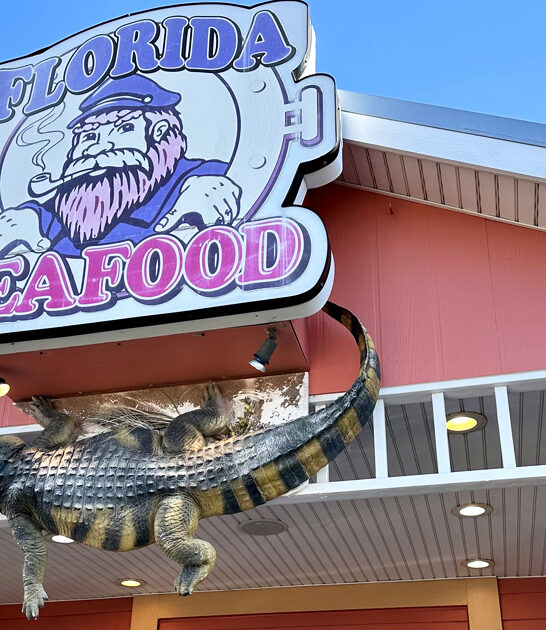 florida corn fritters bar ftr