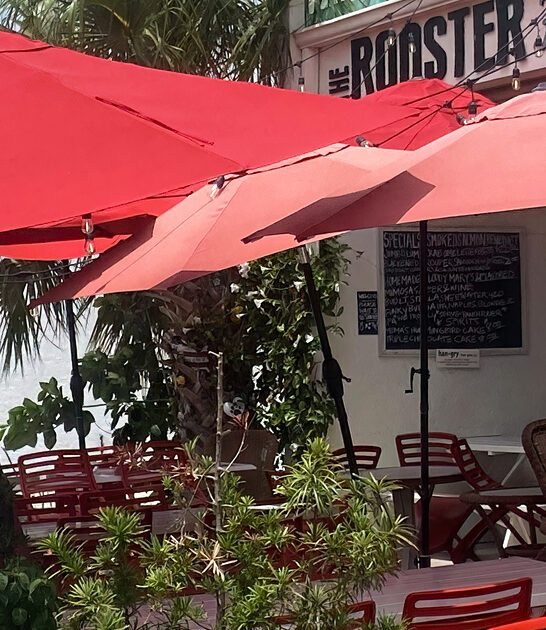 florida cozy restaurant shrimp ftr