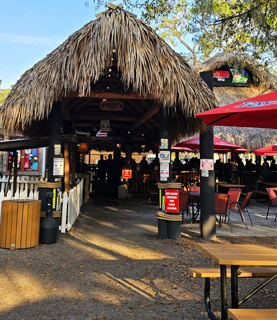 florida delectable grouper sandwich ftr