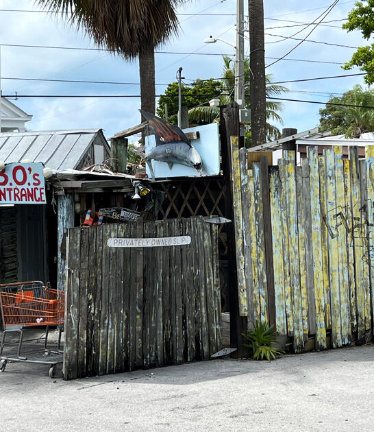 florida driftwood seafood shack ftr